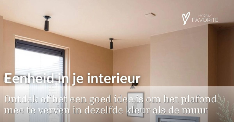 Plafond mee verven in de kleur van de muur | My Daily Favorite